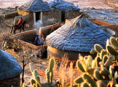 Institute for Cultural Diplomacy